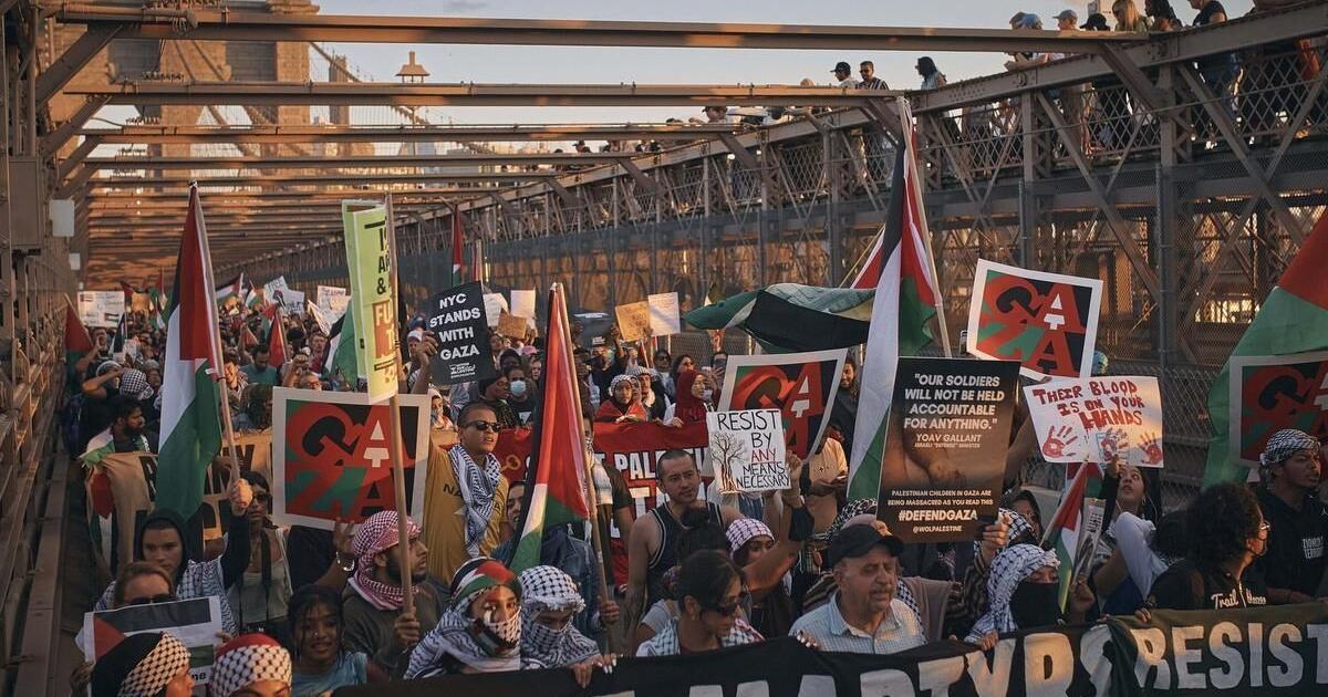 McMaster doctor under review for post about protesters