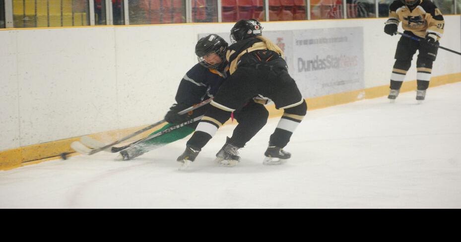 Saltfleet Storm girls hockey squad gears up for city public high school ...