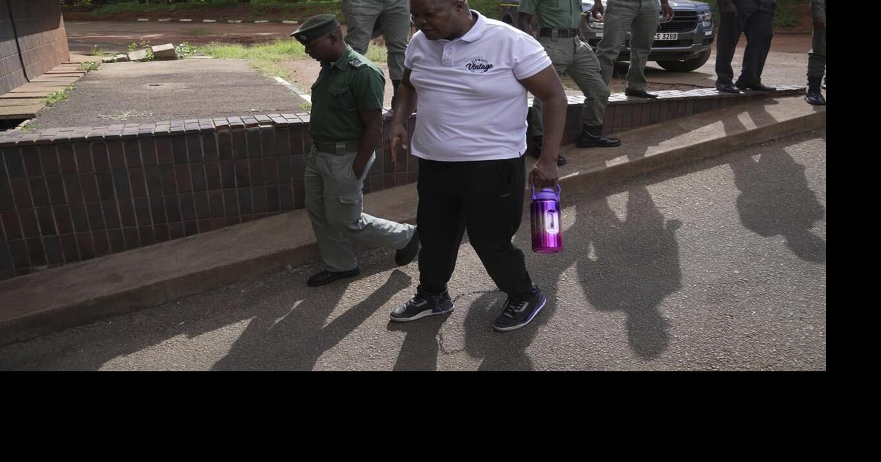 Zimbabwe opposition figure gets suspended sentence after nearly 2 years ...