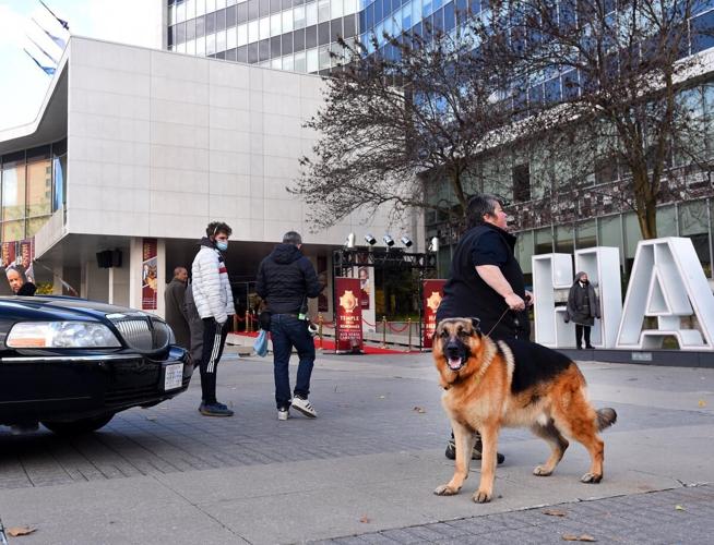 Ancaster dog takes bite out of crime as costar of cop show ‘Hudson & Rex’