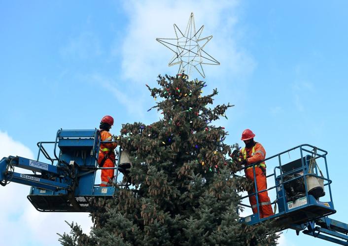Christmas tree lightings across Hamilton