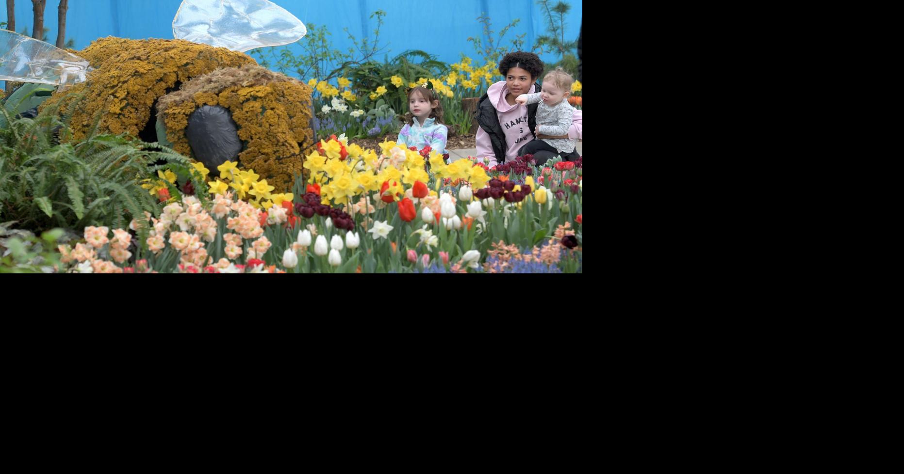 Spring Tide Bulb Show at Gage Park greenhouses