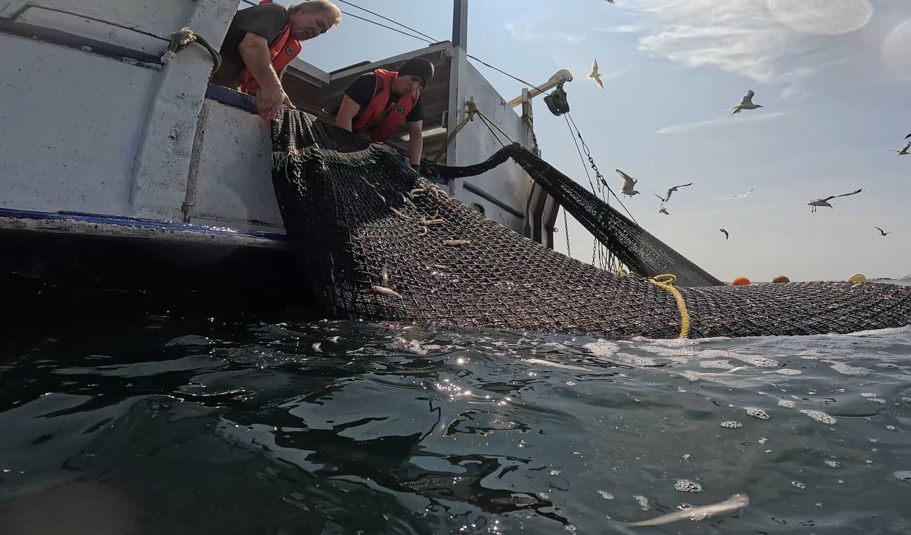 New doc on Port Dover fishery reels in viewers