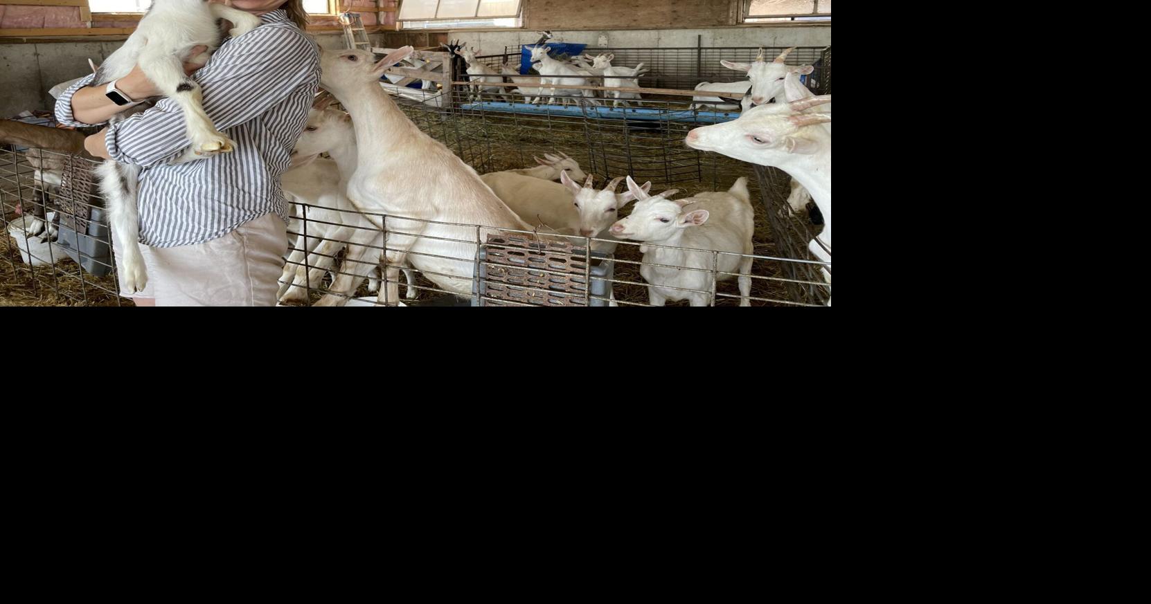 ‘A bit of an alchemist’: Lynden’s Betz Soap Company born from love and ...