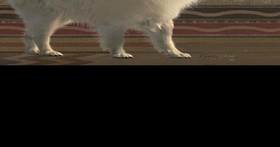 Study shows colonials forced Indigenous woolly dogs into extinction