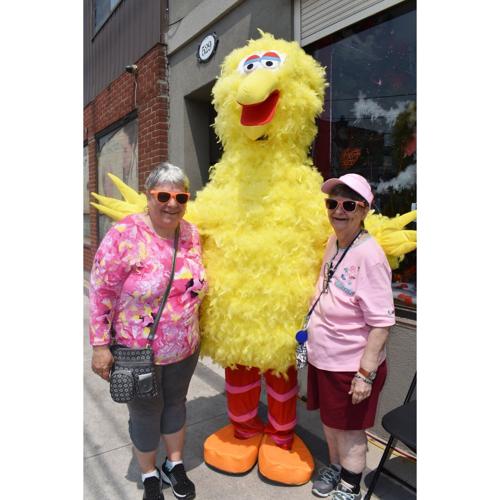 PHOTOS: Crowds enjoy Concession Streetfest on Hamilton Mountain