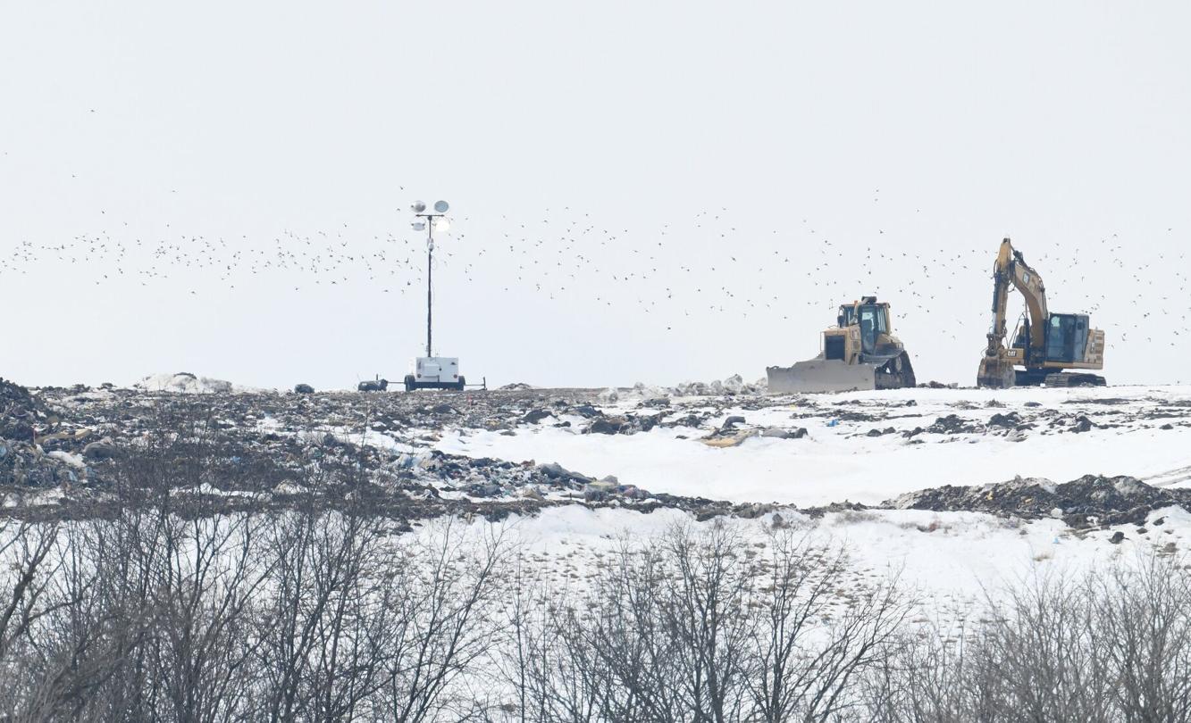 Police search landfill for Hamilton woman missing for months