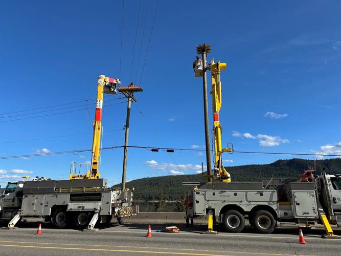 Shocking problem for osprey nests built on B.C. power poles prompts ...