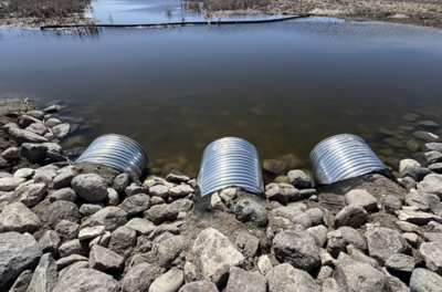 Wetland restoration project reconnects fish habitat along Lake Manitoba