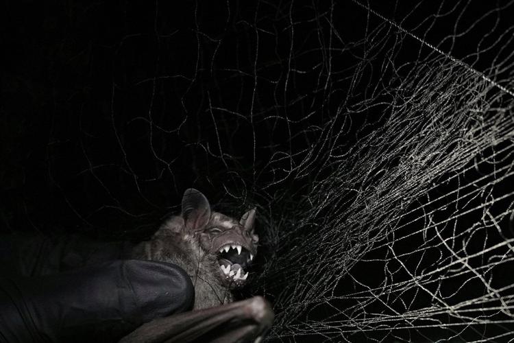 The top photos of the day by AP's photojournalists