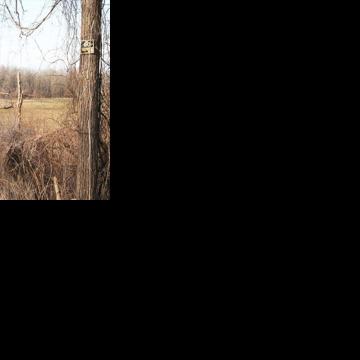 Saltfleet Conservation Area readies for second wetland
