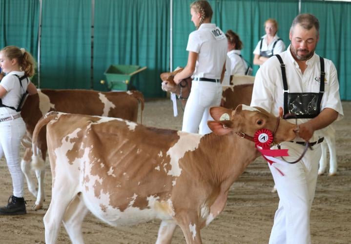 When are southern Ontario’s late summer and fall fairs?