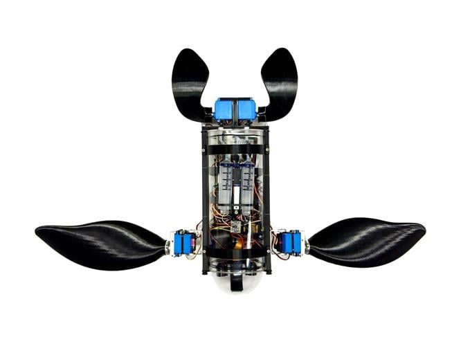 Robotic turtle earns Burlington teen $50K prize