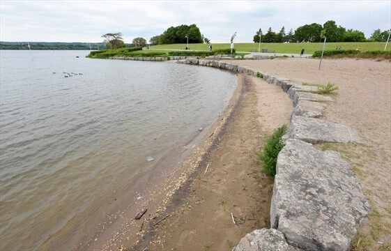 Bayfront Park swimming not 'practicable' because of blue-green algae in ...