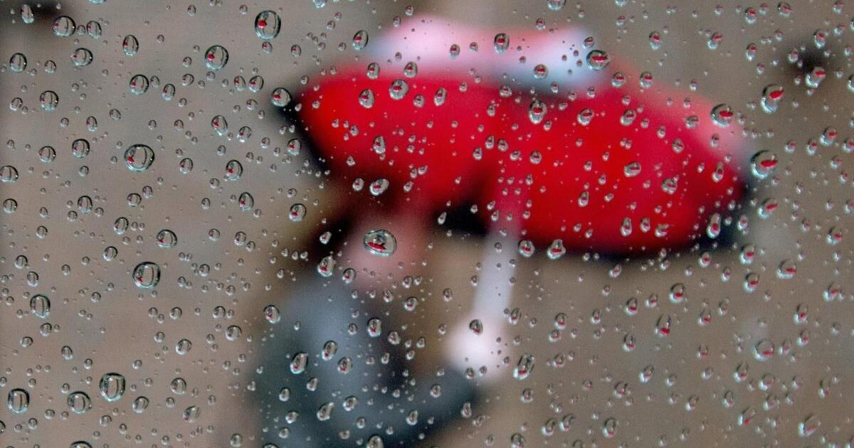 Rain, rain and more rain for Hamilton