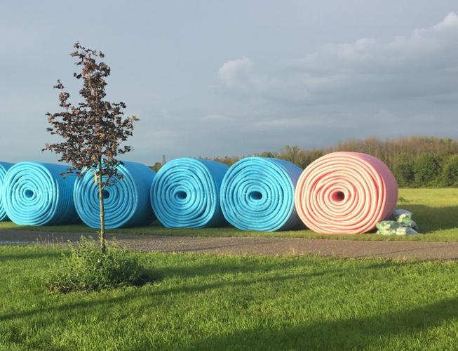 Binbrook farmer using field tiling to overcome challenging weather ...