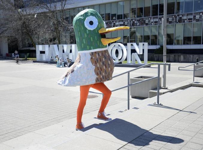 A classic quack in downtown Hamilton