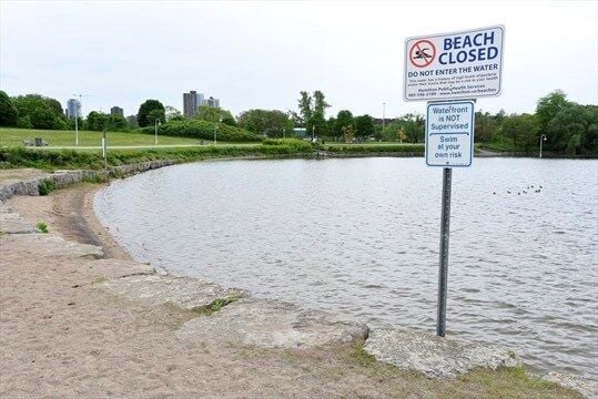 Bayfront Park swimming not 'practicable' because of blue-green algae in ...