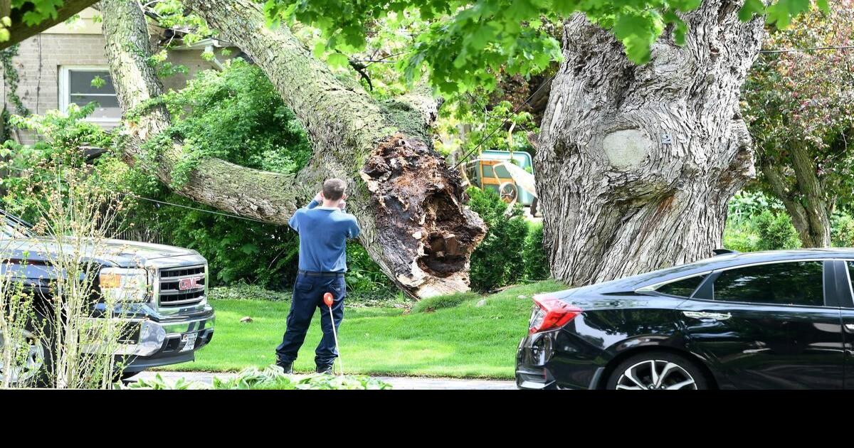 Updated: Power outages from storm linger, but Saltfleet high school to ...