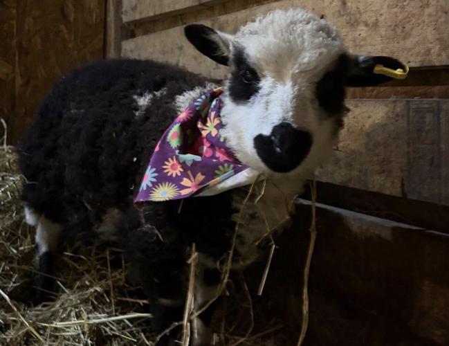 Bright news: Down syndrome no match for entrepreneur Jacob