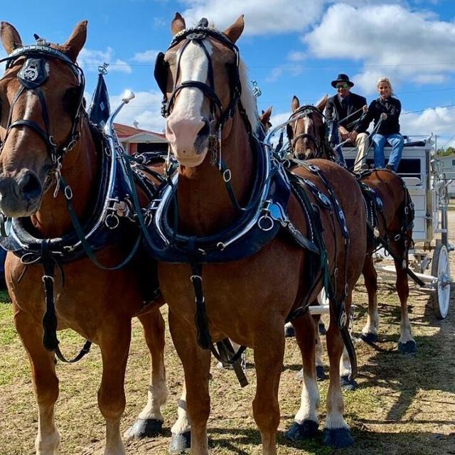 Norfolk Country Fair and Horse Show kicks off fall season