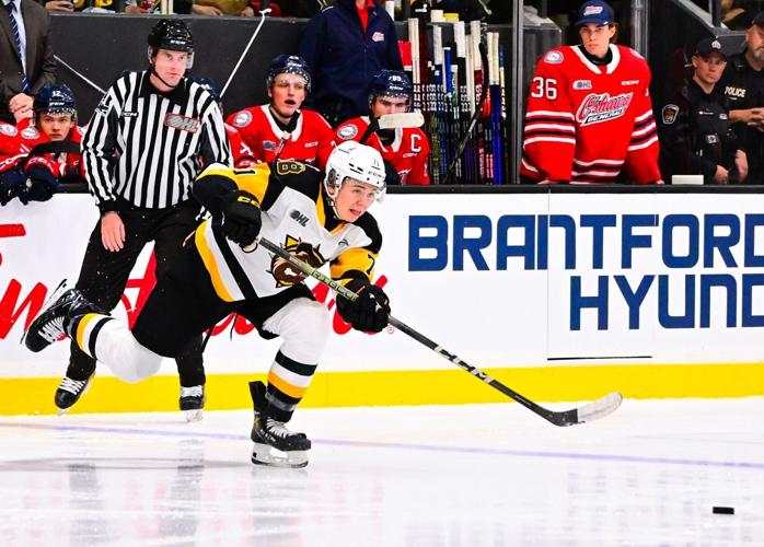 A two-city proposal for the OHL’s Brantford Bulldogs