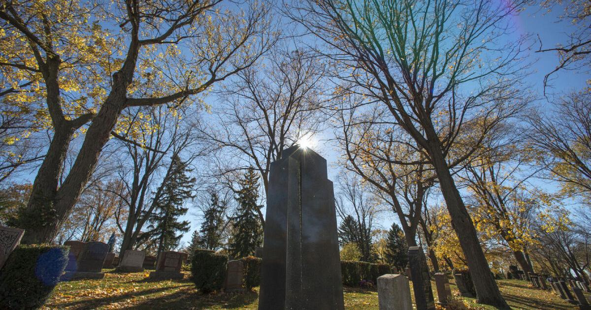 Hamilton Cemetery hosts free historical battles tour
