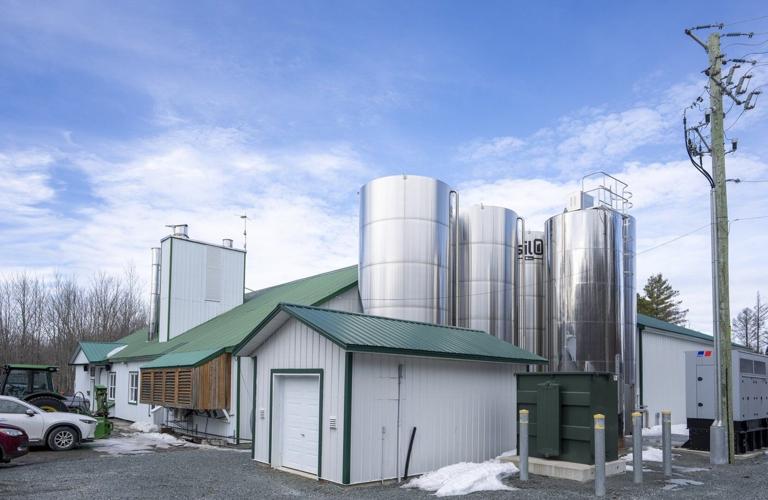 Maple 2.0: Quebec syrup-makers turn to automation and expansion as ...