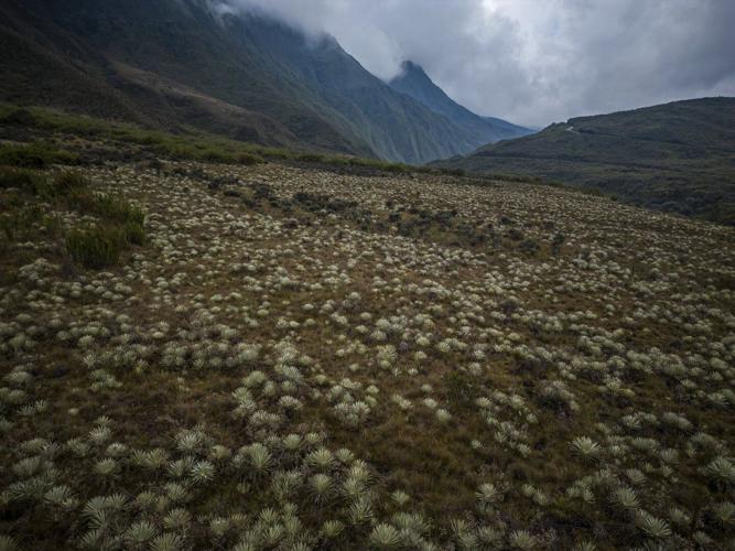 Colombia's capital ends drought-related water rationing. Its case is a ...