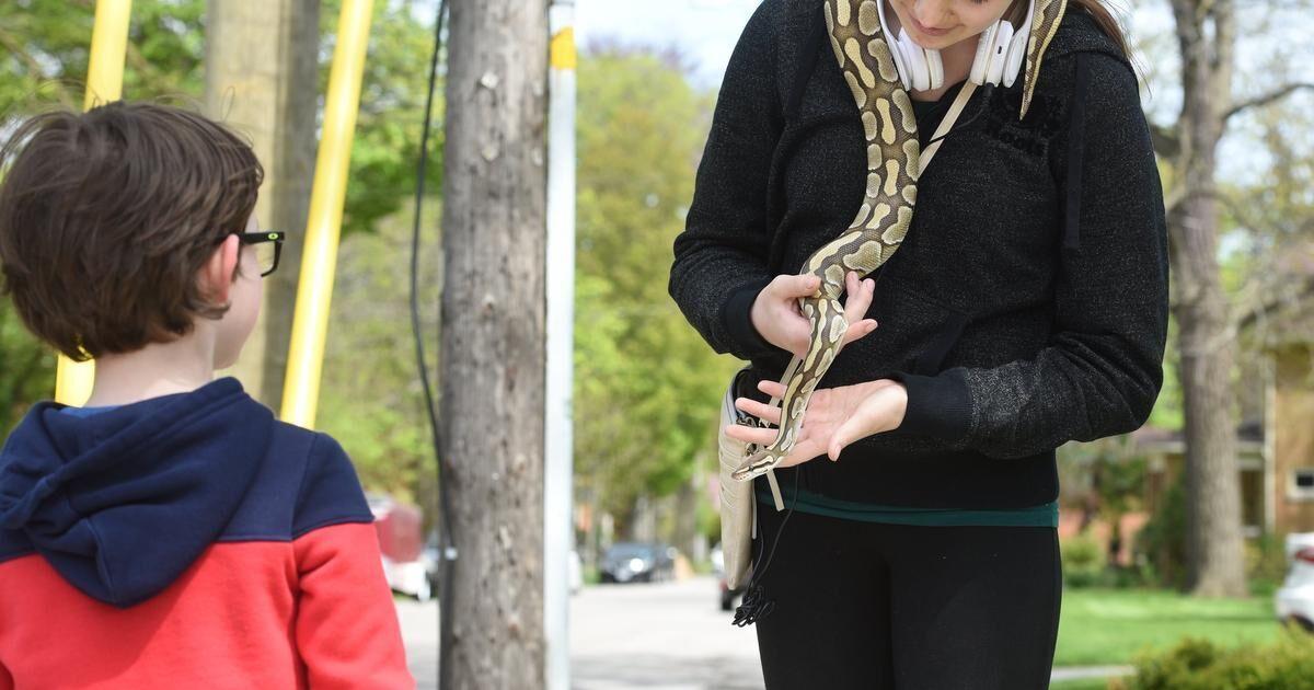 Morgan Baker takes a walk around Dundas, with her two-year-old ball ...