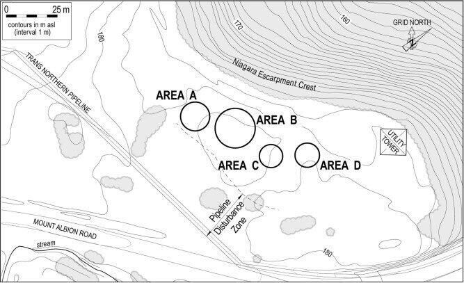Discovery of mastodon blood on ice-age tools first of its kind in Ontario