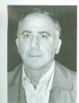 Guns found in attic of Hamilton mobster Frank Papalia's old home