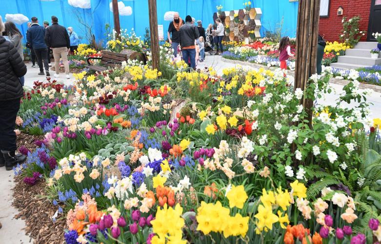 Spring Tide Bulb Show at Gage Park greenhouses