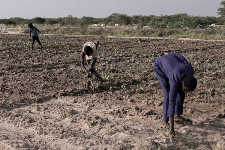 In Senegal, climate change is adding to historic tension between ...