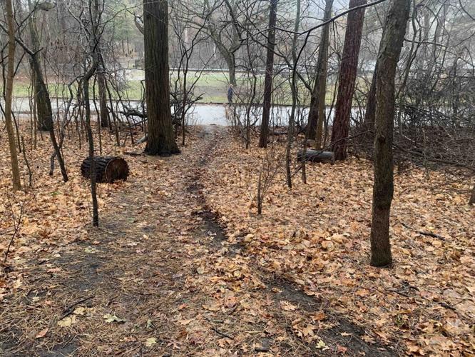 Parkside Drive speed camera thrown into High Park duck pond