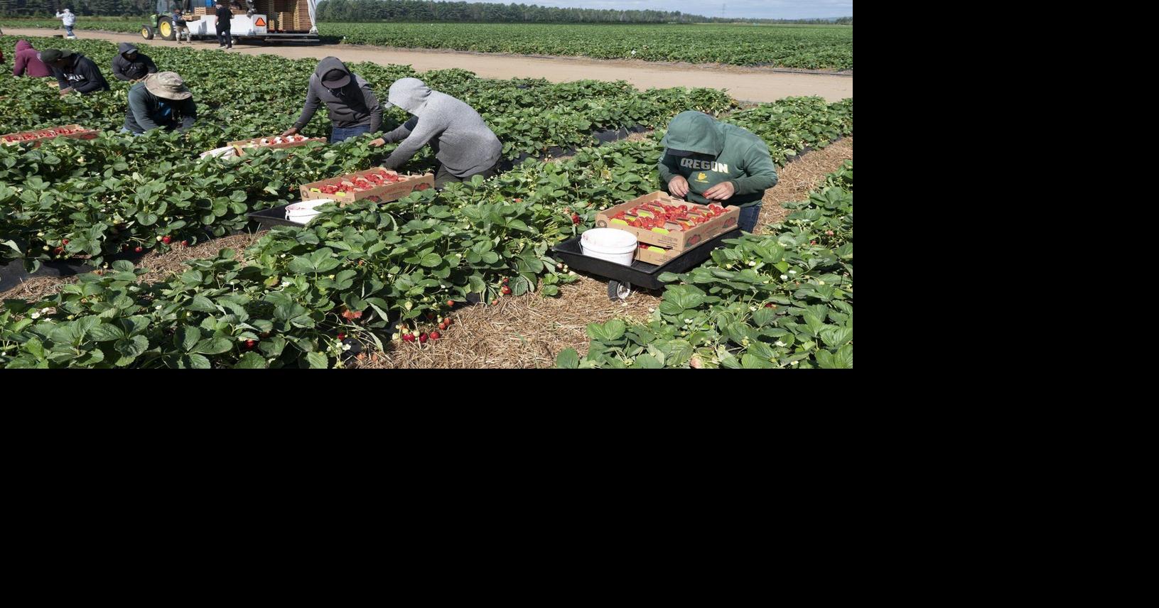 Migrant worker calls proposed spike in housing cost payroll deduction ...