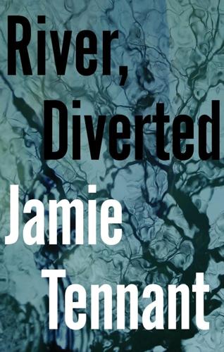 Hamilton author Jamie Tennant releases second novel