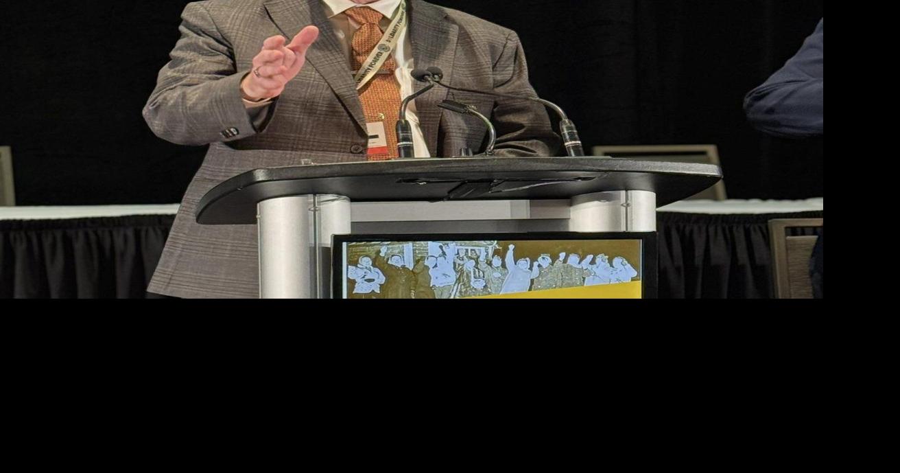 NDP calls for A.I regulations after errors found in Deloitte healthcare ...