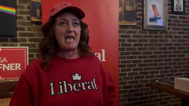 Liberal incumbent Lisa Hepfner wins Hamilton Mountain