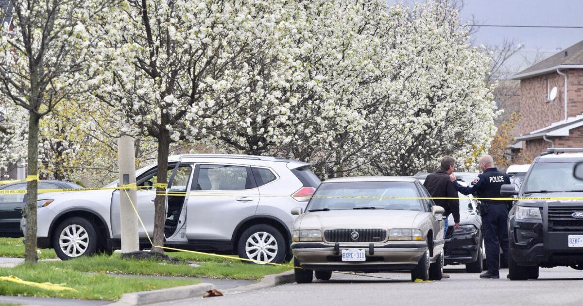 UPDATE: Waterdown shooting of mobster Angelo Musitano a 'deliberate and ...