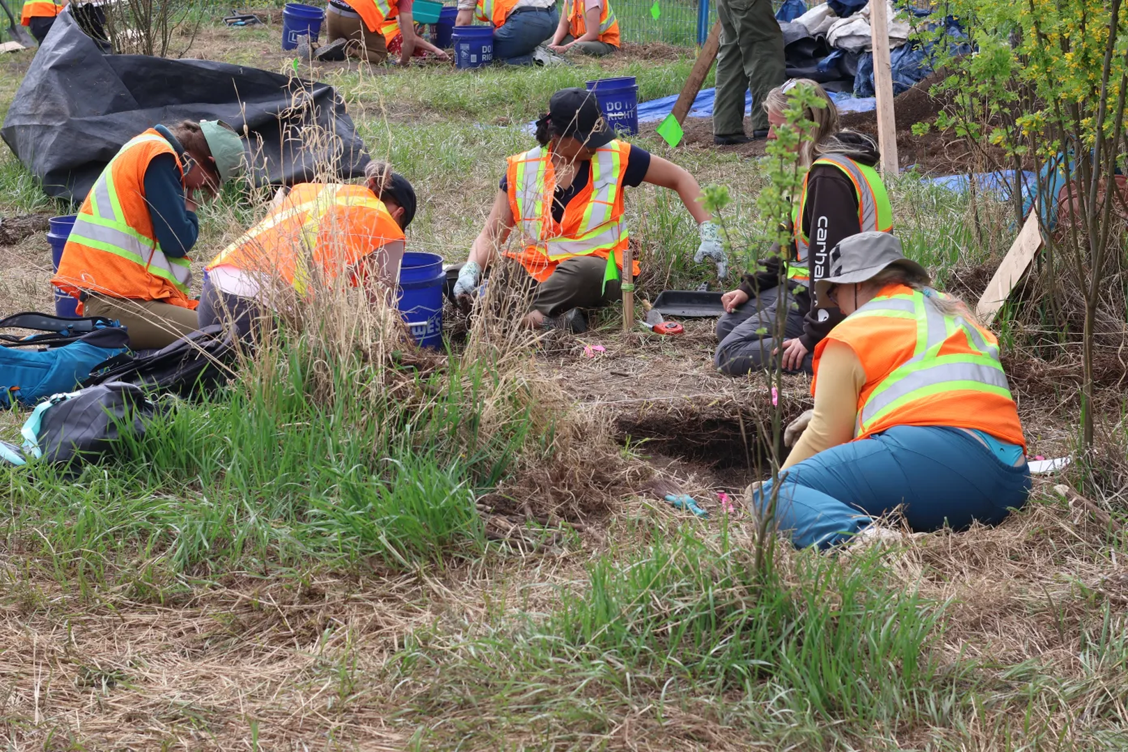 UCalgary archaeology students take to the fields in Edworthy Park
