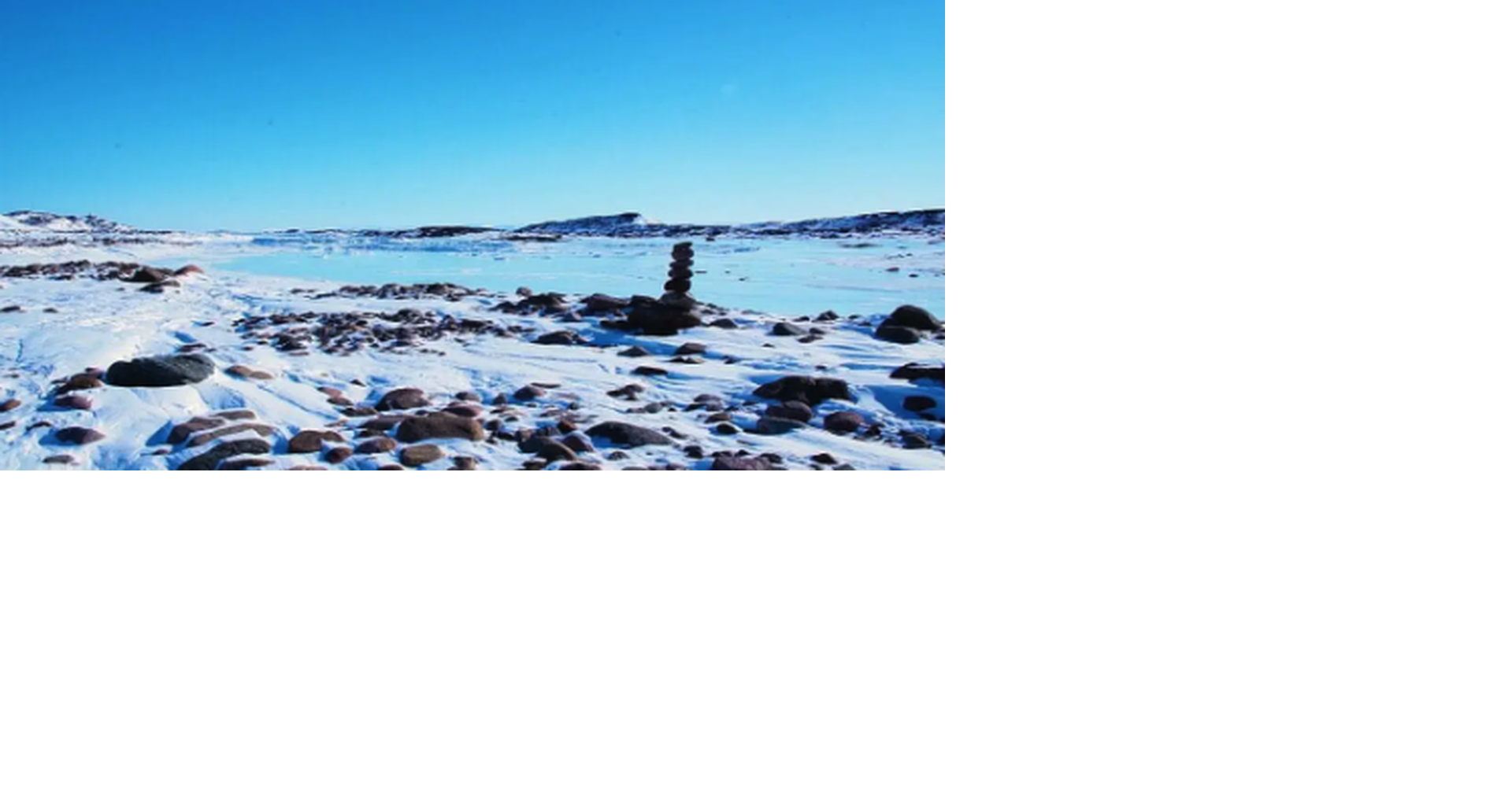 Polar bear spotted in park just outside Iqaluit