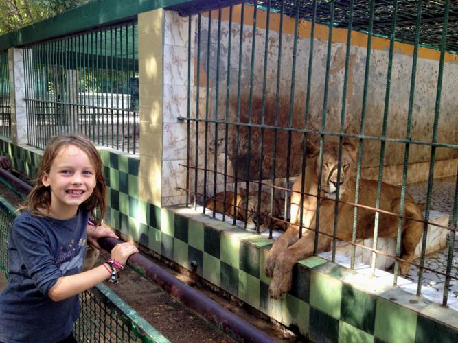 A visit to the zoo, Senegal style: Porter