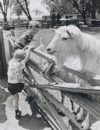 What’s new at Centreville Amusement Park and Far Enough Farm