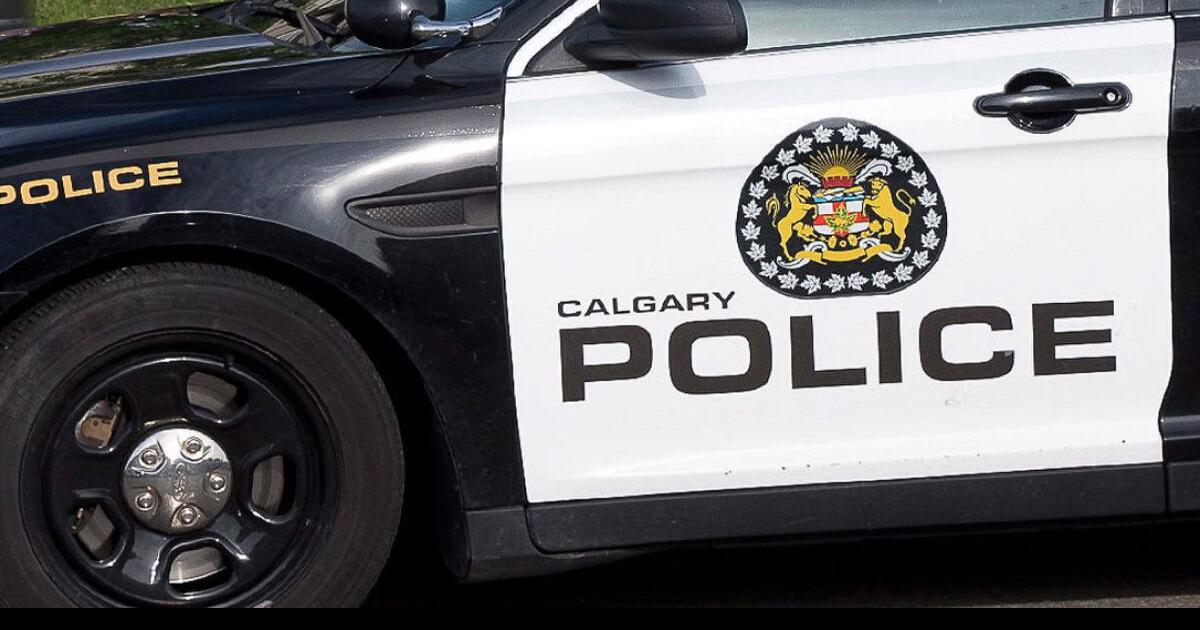 Calgary Police Association president, another officer charged with ...