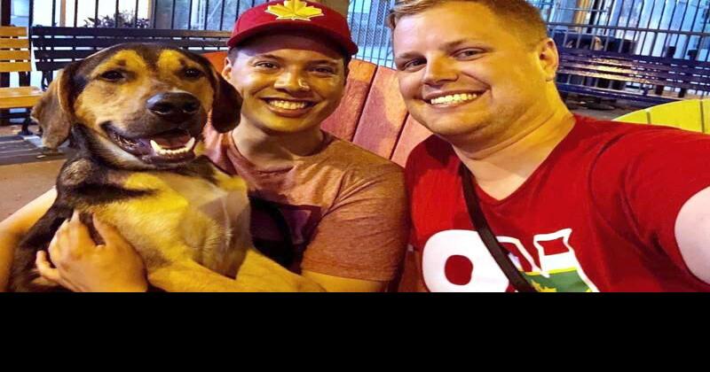 Kevin the dog had behavioural issues. Thanks to the city’s Second ...