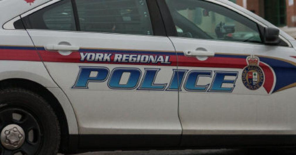 York Region officer pleads guilty to assault after siccing police dog ...