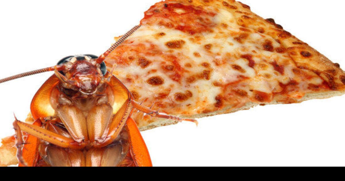 Cockroach pizza off menu at Calgary Stampede