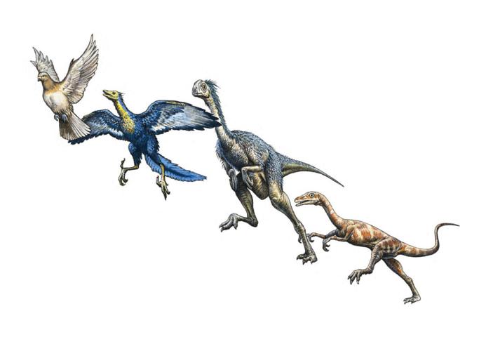 Feathers or scales? New research highlights dinosaur diversity