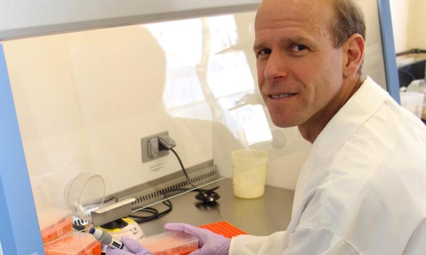 Rescue dogs may carry diseases dangerous for Canadian pets